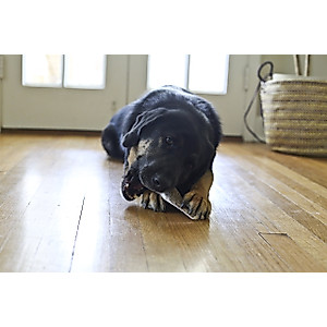 Pet Parents Gnawtlers® - Premium Split Antlers for Dogs, Naturally Shed Split Elk Antlers, All Natural Split Elk Antler Dog Chew, Specially Selected from The Heartland Regions (Large (Pack of 1))