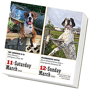 365 Dogs Page-A-Day Calendar 2023: The World's Favorite Dog Calendar