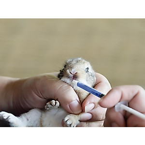 Blue 50 Pcs 1ml 1cc Plastic Syringe No Needle Syringe for Pets Oral, Refilling, Oil or Glue Applicator, Measuring or Transfering Tiny Amount of Liquids, Without Cap