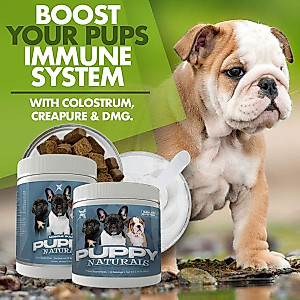 Muscle Bully Puppy Naturals | Muscle Building Immunity Milk Replacer + 10 in 1 Puppy MultiVitamin Nutrient Chew | Veterinarian Formulated. Nutritional Support for Growing Puppies (120 Servings).