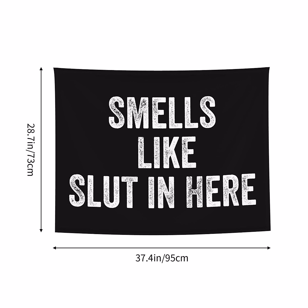 Haebfsl 29x37in Aesthetic Trippy Smells Like Slut In Here Tapestry For Bedroom And Living Room Decor