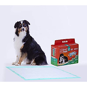 WizSmart Heavyweight Ultra Extra Large 10+ Cup Earth-Friendly & All-Day Dry Premium Dog and Puppy Potty Training Pads, Quick Drying, Absorbent, Odor-Free, Stay Put Tabs, 10+ Cup XL (24 Count)