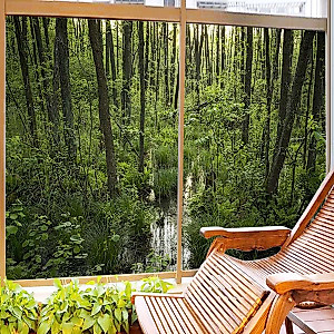 Forest Green Window Privacy Film Frosted Glass Static Cling Bathroom Door Covering Sun Blocking Window Sticker Home Decoration Forest Summer Forest Nature Themed Privacy Film 27.6Wx39.4L-inch x2 Pcs