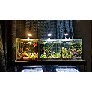 NILIPAL LED Aquarium Light - Freshwater Fish Tank Light Vivarium Terrarium Spotlight 3 Colors 3000K 4000K 6000K Cool Warm White for Planted Fish Tank (3 Colors)