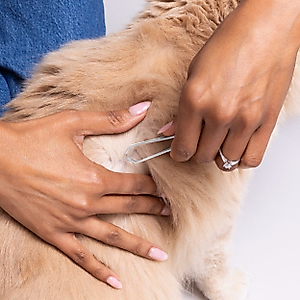 Tweezerman Pet Tick Removal Tweezer, Tick Removal Tool for Dogs and Cats