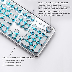 Alkem Mechanical Gaming Keyboard with 30 LED Backlits White Retro Typewriter Keyboard Full-Size 104 Keys USB Wired Retro Steampunk Keyboard Blue Switch Ergonomic Keyboard Metal Panel (Silver)