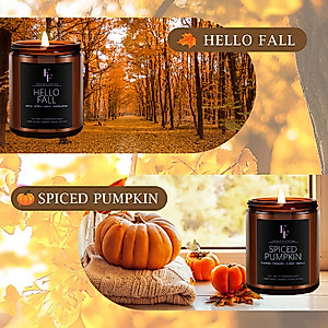 Fall Candles Set, Fall Scented Candles for Home, 4 Pack Natural Soy Autumn Candle, Fall Gifts for Women Men, Fall Fragrance of Pumpkin/Apple Wreath/Hello Fall/Vanilla Cupcake