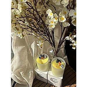 Zebra Calcite Soy Wax Crystal Candle (Natural) | Relaxing Scented Candle | 8 oz (Nectarine & Honey)