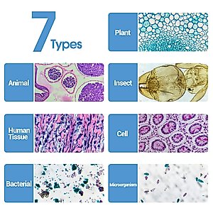120+60 Microscope Slides with Specimens, Prepared Microscope Slides for Microbiology, Prepared Microscope Slides for Adults/Kids