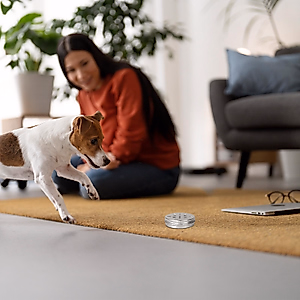 Mozeat Lens 6 Pcs Scent Training for Dogs Scent Work for Dogs Dog Scent Training Equipment Box Dog Nose Metal Container Smell Aluminum Cans Nosework Tins Scent Work Container