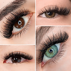 LASHVIEW 1000 Premade Volume Eyelash Extensions Mixed Tray 10D D Curl Premade Lash Fans Pointed Handmade Thin Base (10D-0.07D,9-16mm)