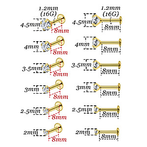 Vsnnsns 16G Lip Rings Stainless Steel Labret Jewelry Monroe Lip Rings Nail Cartilage Tragus Helix Earrings Studs Piercing Jewelry Medusa Piercing Jewelry for Women Men 16 Gauge Earrings 8mm Gold