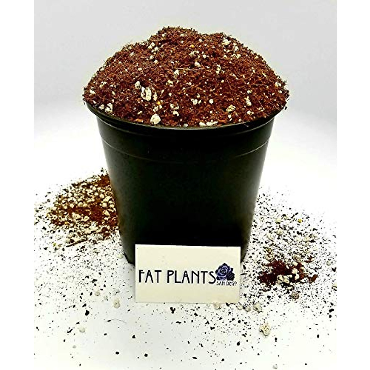 Fat Plants San Diego Premium Cacti and Succulent Potting Mix Soil - for Cactus Palm Tree Citrus Plant Grown in Gardening Containers - Indoors & Outdoors Use - with Natural Food/Fertilizer