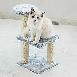 Small Cat Scratching Toy-Small Kitten Toy, Cat Toys for Indoor Cats, Kittens Post and Dangling Ball for Indoor Kittens and Cat Tree Small, Great for Kittens, Made for Kitten and Small Cat 16" Height