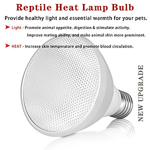 ExoRepti Reptile Heat Lamp Bulb Greenhouse Warming Bulb Reptile Light for Lizard, Turtle, Bearded Dragon, Hedgehogs, Snake Amphibians, Chicks, With 2 Bulb Beads (75 Watt). New Replaceable Bulbs Design