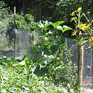 Nueve Deer Hardware Cloth 6 foot x 50 foot 1/2 inch Mesh 19 Gauge, Hot Dip Galvanized After Welding, Welded Wire Mesh Roll Chicken Wire Fencing Cage Wire Rodent Wire