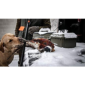 Flambeau Outdoors 7415SB Shotshell Ammo Can, Portable Ammo Storage, Standard