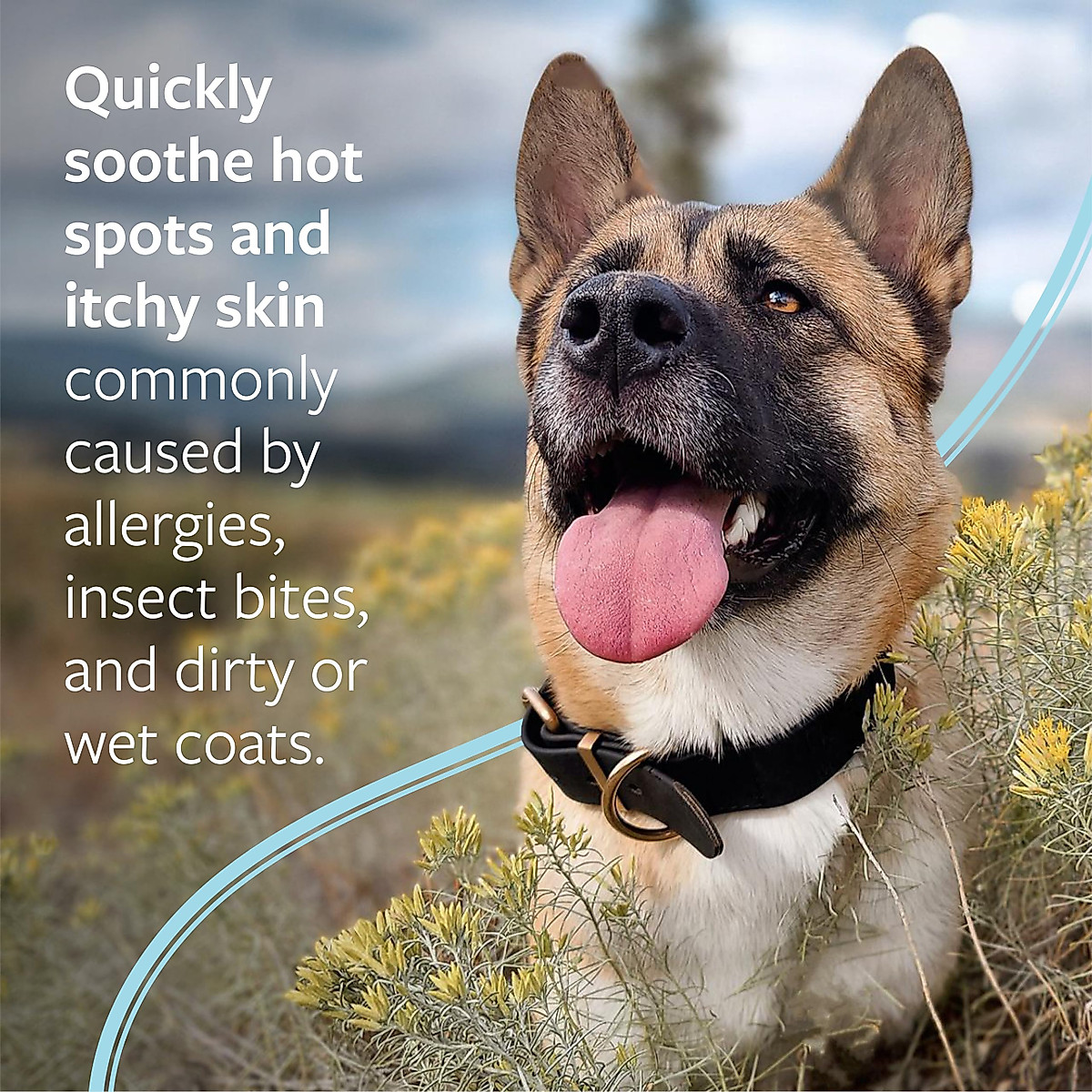 Veterinary Formula Clinical Care Hot Spot & Itch Relief Medicated Shampoo for Dogs and Cats 16oz – Helps Alleviate Sensitive Skin, Scratching, and Licking of Coat