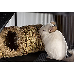 Prevue Hendryx 1098 Nature's Hideaway Grass Tunnel Toy, 13.5" x 6 "