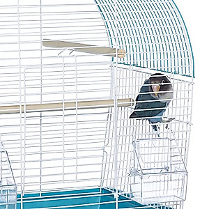 Prevue Pet Products South Beach Dome Top Bird Cage, Teal (SP50071),14 1/8" L x 11 1/4" W x 18 1/8" H
