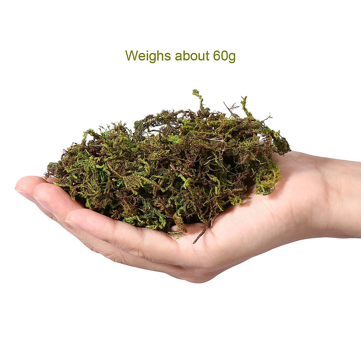 VOSAREA Artificial Moss Lichen Preserved Floral Decor Simulation Fake Green Plants for Home Garden Patio Succulents Crafts Dressing Potted Plants Fairy Garden Terrariums