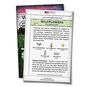 Sow Right Seeds - Wildflowers Seeds to Plant in Northeast - Full Instructions for Planting and Growing a Beautiful Wild Flower Garden; Non-GMO Heirloom Seeds; Wonderful Gardening Gift (1)