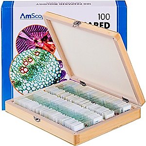 AmScope PS100B Prepared Microscope Slide Set for Basic Biological Science Education, 100 Slides, Set B, Includes Fitted Wooden Case
