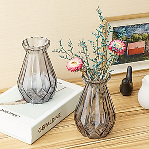 MyGift Small Clear Gray Glass Decorative Vase, 6 Inch Diamond-Faceted Flower Bud Vase, Set of 2