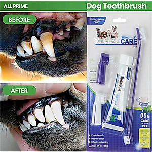 Teleyi Dog Toothbrush Kit,4-Piece Set with Toothpaste Fingerbrush,Cat Teeth Cleaning,Pet Oral Dental Care Fresh Breath Brush,Cute Puppy Whitening Cleansing for Small Large Dogs,Beef Flavor