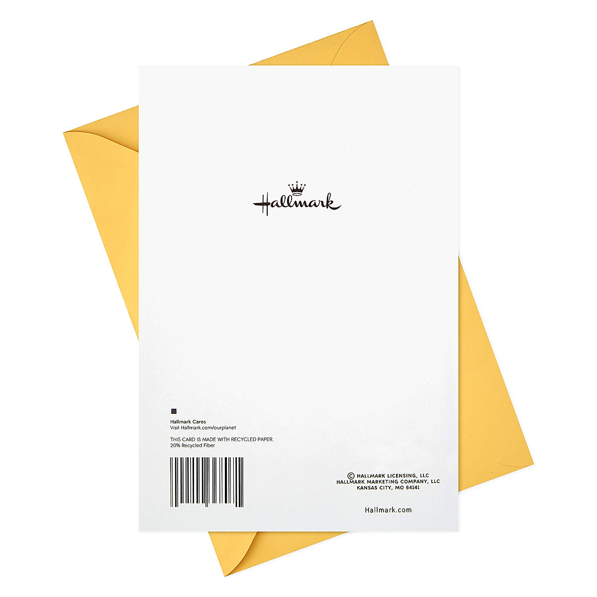 Hallmark Birthday Card (Envelope with Confetti)