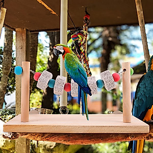 Ipetboom Chew Toys Chinchilla Toys Tabletop Parrot Stand Cage Parrot Toy Parrot Accessories Parrot Perch Stands Bird Toy Cage Bird Perch Bird Training Perch Parrot Swing Toy Cage Bird Stand