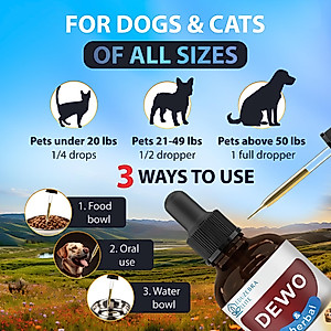 Cats and Dogs Natural Broad Spectrum Treatment - Against Parasites and Toxins - Herbal Medicine Support - All Breeds and Size - Puppy & Kitten