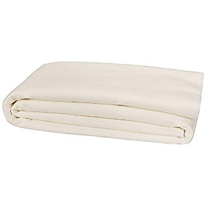 Amazon Basics Conscious Series Cool-Touch Rayon Bamboo Mattress Protector - Queen