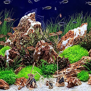 YARNOW 3Pcs Mini Fisherman Figurines Ceramics Chinese Mudman Sitting Fishing Garden Statue Ornament for Fish Tank Micro Landscape Bonsai Fairy Garden Decorations,3.5x3cm