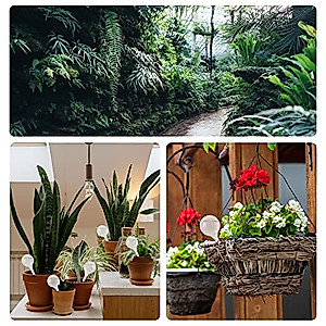 Zddaoole 20 Pcs Clear Plant Watering Globes,Automatic Plant Watering Bulbs,Self Watering Planter Insert,Garden Water Device Plastic Watering Bulbs for Plant Indoor Outdoor