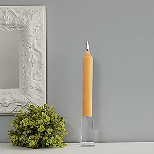 Root Candles Unscented Timberline Collenette 9-Inch Dinner Candles, 4-Count, Mandarin