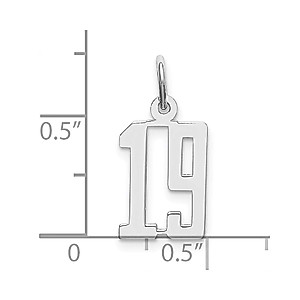 Sterling Silver/Rhodium-plated Elongated Number 19 Charm QQES19