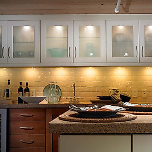 Dysmio Lighting 100 Watt 120 Volt Flood BR38 E26 Incandescent Light Bulb Amber 2 Pack