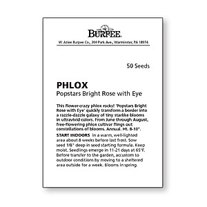 Burpee Popstars Bright Rose with Eye Phlox Seeds 50 seeds