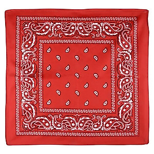 The Dreidel Company Classic Bandana Handkerchiefs, Southwestern Cowboy Design Fashion, Unisex Print Head Wrap, 19" (12-Pack, Red, Blue, Pink, White)
