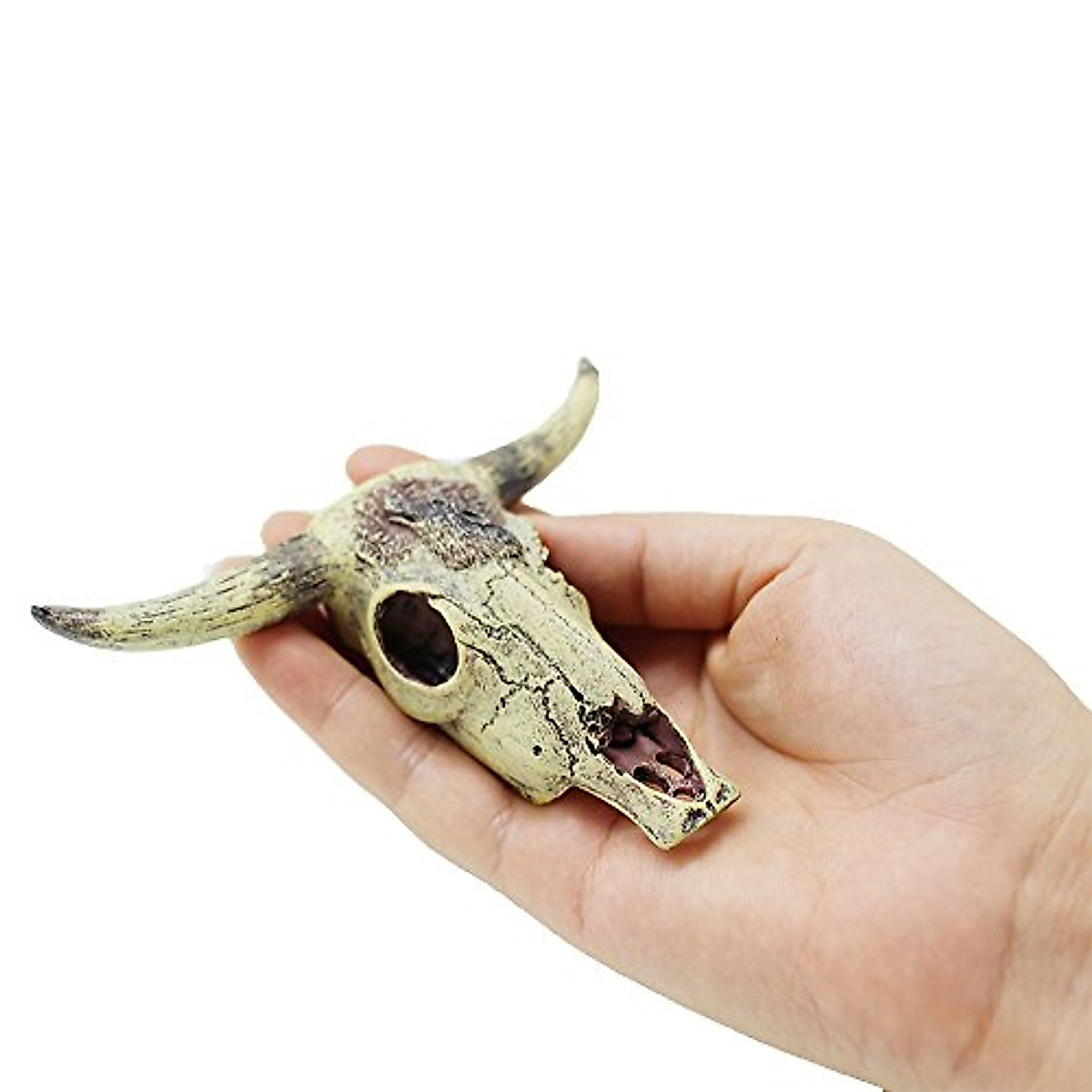 Leoyoubei Aquarium Decoration, Fish Tank Small Skull,Fish Turtle Hidden, Bonsai beautification. Cave Landscape Pet Reptile House Shrimps & Snails Love Them (Cattle Skull)