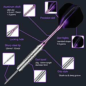 12 Pack Darts Metal Tip Set 22/24 Grams, Steel Tip Darts with Premium Black Purple Aluminum Shafts, Extra 50 Rubber O-rings 6 Nylon Shafts 24 Flights 12 Spring Rings 16 Flights Protector 1 Tool Kit