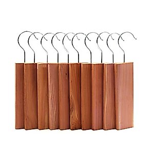 FunSpt 10 Pcs Cedar Blocks with Fragrance Odor 100% Nature Aromatic Red Ceder Blocks Cedar Planks
