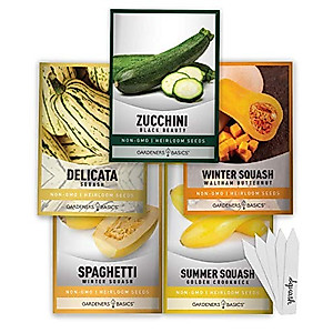 Squash Seeds for Planting 5 Individual Packets - Zucchini, Delicata, Butternut, Spaghetti and Golden Crookneck for Your Non GMO Heirloom Vegetable Garden by Gardeners Basics