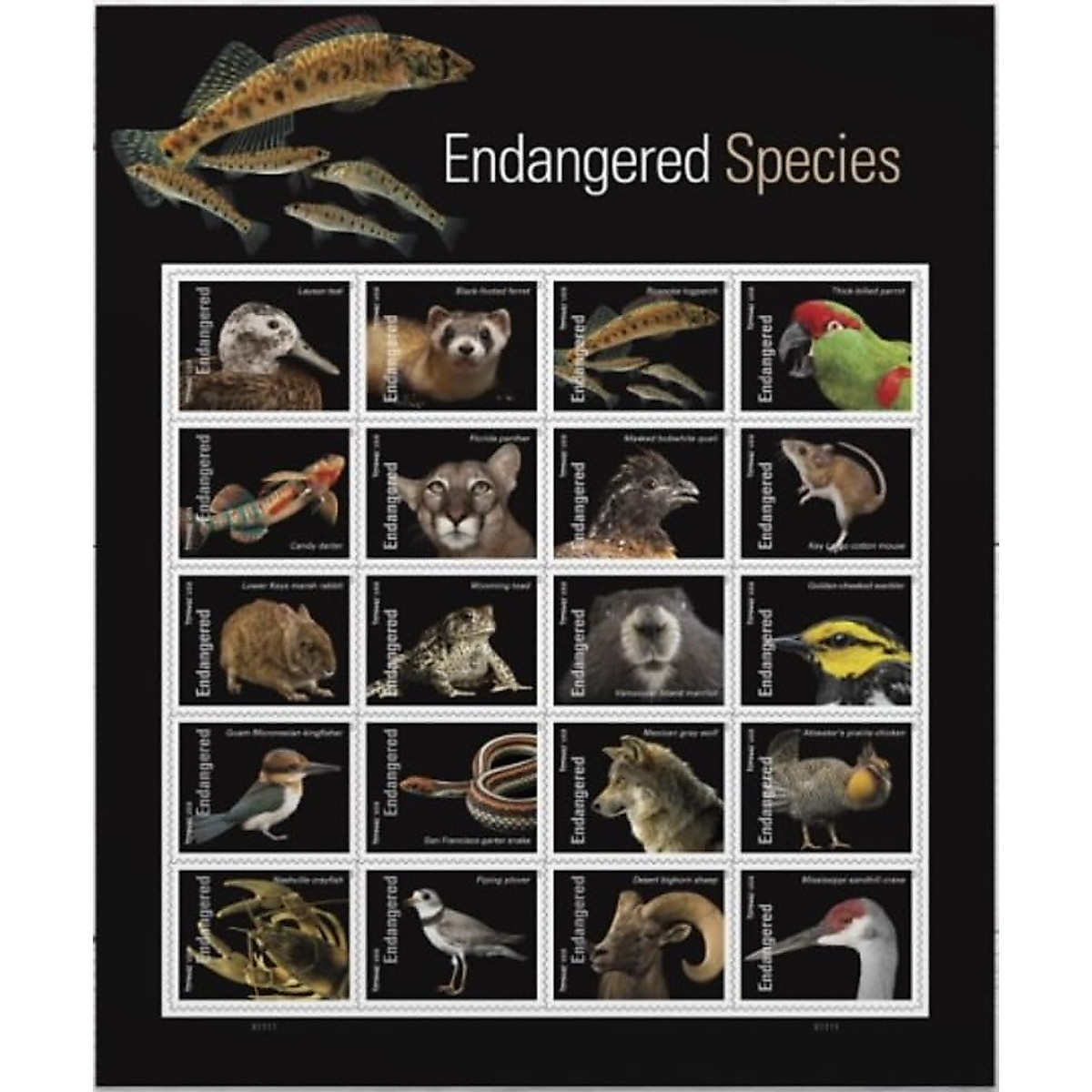 Endangered Species (Sheet of 20) Postage Forever Stamps US Postal First Class Animal Bird Fish Duck Wildlife Habitat Announcement Celebrate Anniversary Wedding 2023 Scott #5800