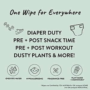The Honest Company Clean Conscious Unscented Wipes | Over 99% Water, Compostable, Plant-Based, Baby Wipes | Hypoallergenic for Sensitive Skin, EWG Verified | Rainbow, 72 Count
