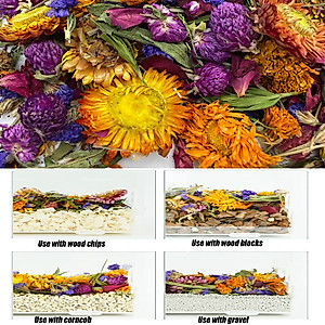 Tfwadmx Hamster Substrate Natural Flower Bedding Mate Habitat Decor for Dwarf Syrian Hamsters Mice Degus Gerbils Bunny or Other Small Animal