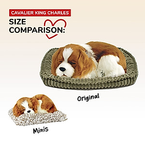 Perfect Petzzz Mini Cavalier King Charles, Realistic Battery-Operated Dog Toy, Calming Companion for Kids & Elderly