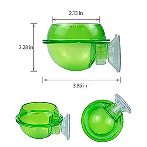 AUEAR, 2 Pack Reptiles Suction Cup Feeder Chameleon Feeding Food Cricket Bowl Water Dish Gecko Ledge Supplies Accessories for Gecko Lizard Bearded Dragon
