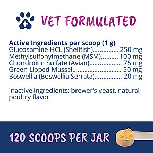 Under the Weather Pet Joint and Hip Powder for Dogs | Vet Formulated Dog Supplements with Glucosamine Antioxidants & Chondroitin for Strong Overall Joint Health | Promotes Good Mobility & Flexibility